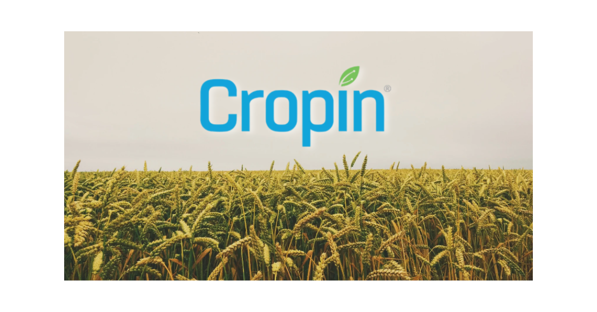 Top 10 AI Startups in India - Delhi Newswire