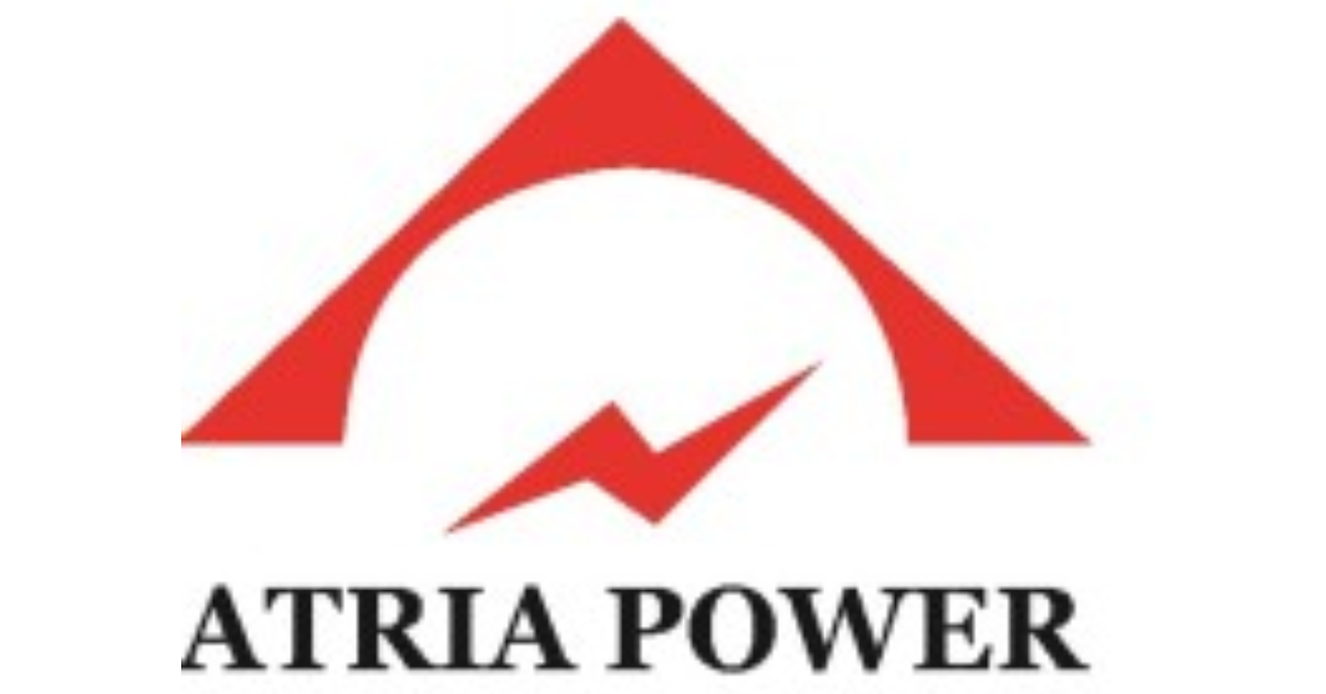 Top 10 Biomass Power Companies in India - Delhi Newswire